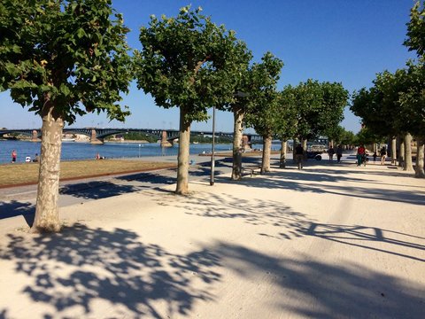 Sandweg Bilder – Durchsuchen 1,179 Archivfotos, Vektorgrafiken und ...