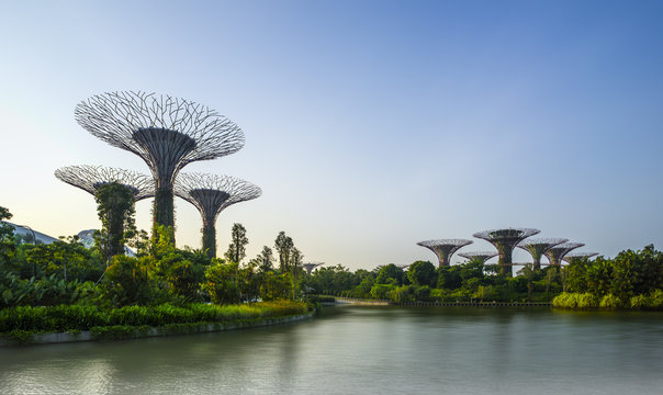 รูปภาพSupertree – เลือกดูภาพถ่ายสต็อก เวกเตอร์ และวิดีโอ5,520 | Adobe Stock