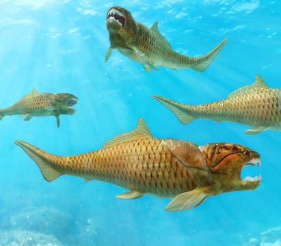 รูปภาพDunkleosteus – เลือกดูภาพถ่ายสต็อก เวกเตอร์ และวิดีโอ105 | Adobe ...