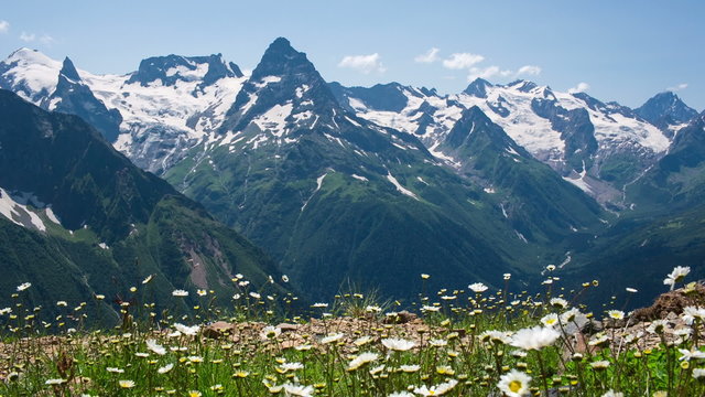 Alpine Images – Browse 1,641,594 Stock Photos, Vectors, and Video ...