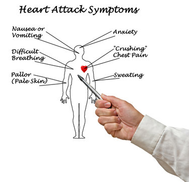 「Sife」の写真素材 | 25件の無料イラスト画像 | Adobe Stock