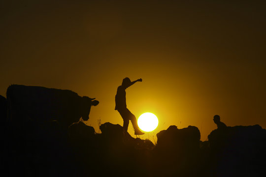 Sunball Images – Browse 352 Stock Photos, Vectors, and Video | Adobe Stock