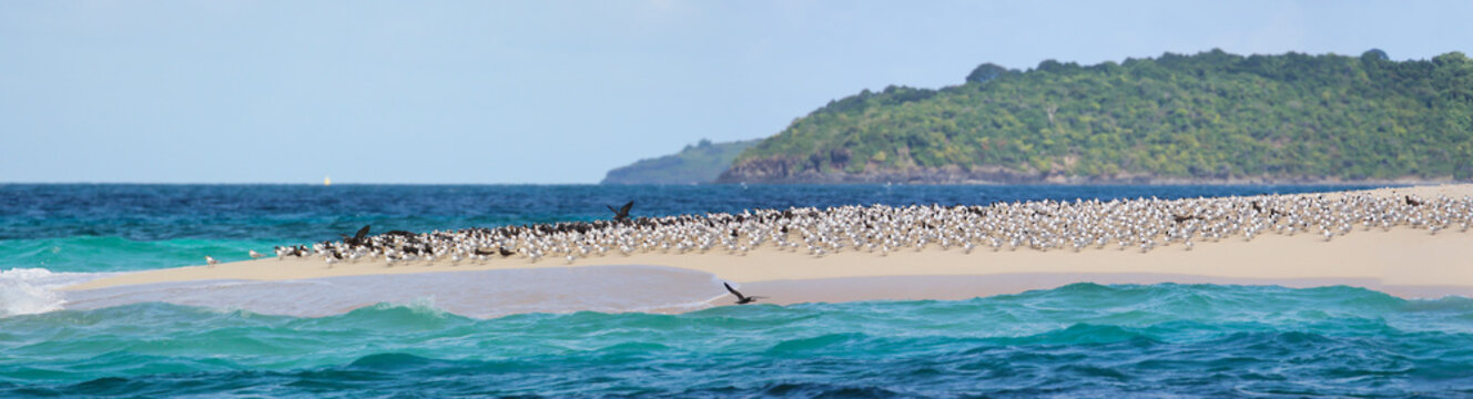 Reposoir Bilder – Durchsuchen 127 Archivfotos, Vektorgrafiken und ...