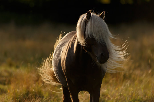 รูปภาพWindfarben – เลือกดูภาพถ่ายสต็อก เวกเตอร์ และวิดีโอ107 | Adobe Stock