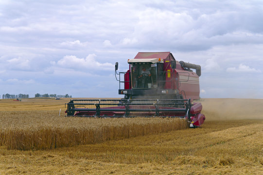 Kolhoz bilder – Bläddra bland 843 stockfoton, vektorer och videor ...