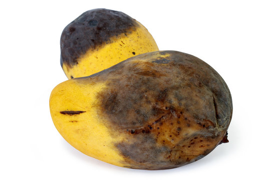 รูปภาพ"Rot – เลือกดูภาพถ่ายสต็อก เวกเตอร์ และวิดีโอ2,078,115 | Adobe Stock