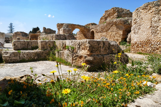 Ruinen bilder – Bläddra bland 14,848 stockfoton, vektorer och videor ...