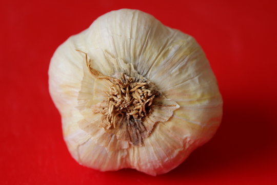 「Knobi」の写真素材 | 516件の無料イラスト画像 | Adobe Stock