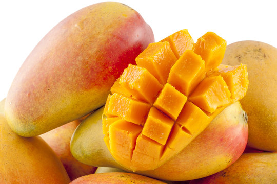 รูปภาพMangues – เลือกดูภาพถ่ายสต็อก เวกเตอร์ และวิดีโอ745 | Adobe Stock