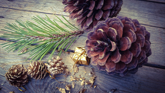 รูปภาพ"Pommes De Pin" – เลือกดูภาพถ่ายสต็อก เวกเตอร์ และวิดีโอ2,057 ...