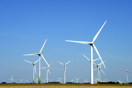 Biostrom Bilder – Durchsuchen 1,146 Archivfotos, Vektorgrafiken und ...