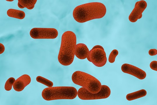 "Typhoid Fever" Bilder – Durchsuchen 2,001 Archivfotos, Vektorgrafiken ...