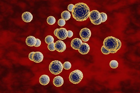 Echovirus Images – Browse 50 Stock Photos, Vectors, and Video | Adobe Stock
