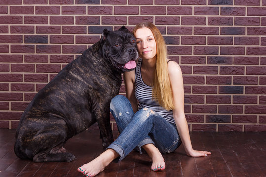 "Cane Corso"-Bilder: Stock-Fotos & -Videos. | Adobe Stock
