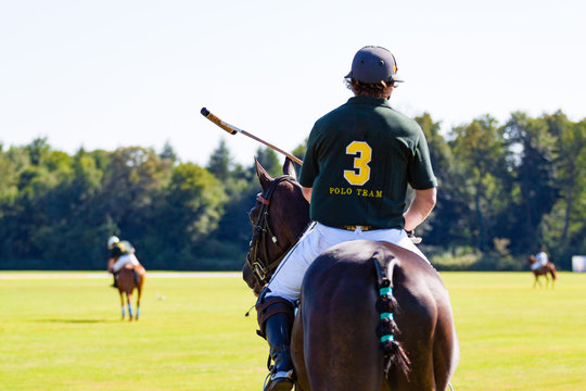 รูปภาพ"Polo Stick" – เลือกดูภาพถ่ายสต็อก เวกเตอร์ และวิดีโอ1,953 ...