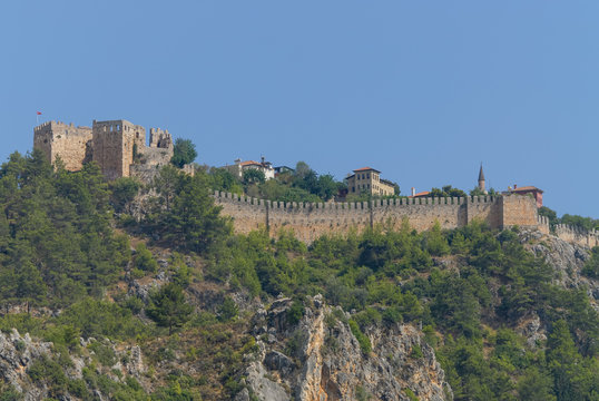 Antala Images – Browse 17 Stock Photos, Vectors, and Video | Adobe Stock