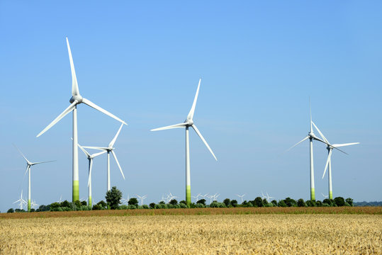 Biostrom bilder – Bläddra bland 1,146 stockfoton, vektorer och videor ...