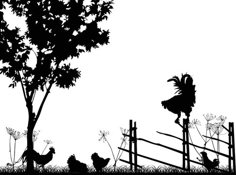 Femce Images – Browse 30 Stock Photos, Vectors, and Video | Adobe Stock