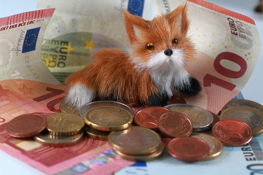 Sparfuchs Bilder – Durchsuchen 1,234 Archivfotos, Vektorgrafiken und ...