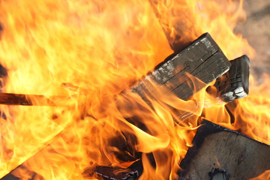 Vehemently Images – Browse 259 Stock Photos, Vectors, and Video | Adobe ...