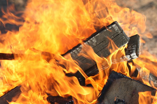 Vehemently Images – Browse 259 Stock Photos, Vectors, and Video | Adobe ...