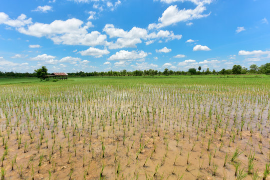 รูปภาพMonocropping – เลือกดูภาพถ่ายสต็อก เวกเตอร์ และวิดีโอ388 | Adobe ...