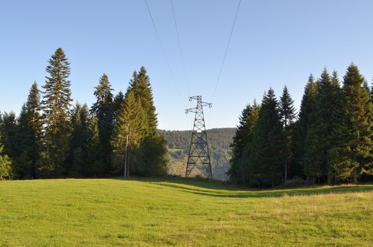 รูปภาพPilonne – เลือกดูภาพถ่ายสต็อก เวกเตอร์ และวิดีโอ108 | Adobe Stock