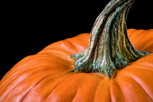 รูปภาพGuising – เลือกดูภาพถ่ายสต็อก เวกเตอร์ และวิดีโอ6,131 | Adobe Stock