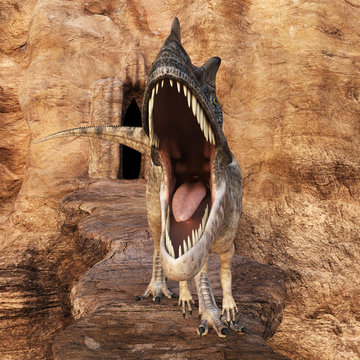 รูปภาพTetanuran – เลือกดูภาพถ่ายสต็อก เวกเตอร์ และวิดีโอ86 | Adobe Stock