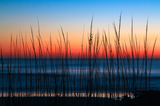 รูปภาพPredawn – เลือกดูภาพถ่ายสต็อก เวกเตอร์ และวิดีโอ2,754 | Adobe Stock