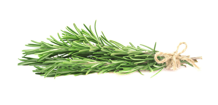 "Cat Cradle"-Bilder: Stock-Fotos & -Videos. | Adobe Stock