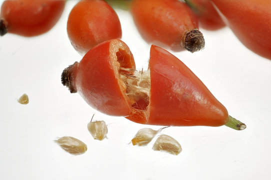 รูปภาพHiffen – เลือกดูภาพถ่ายสต็อก เวกเตอร์ และวิดีโอ326 | Adobe Stock