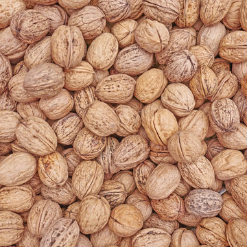 รูปภาพNutshell – เลือกดูภาพถ่ายสต็อก เวกเตอร์ และวิดีโอ201,265 | Adobe ...