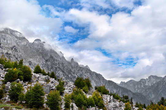 Tropoja Images – Browse 9 Stock Photos, Vectors, and Video | Adobe Stock