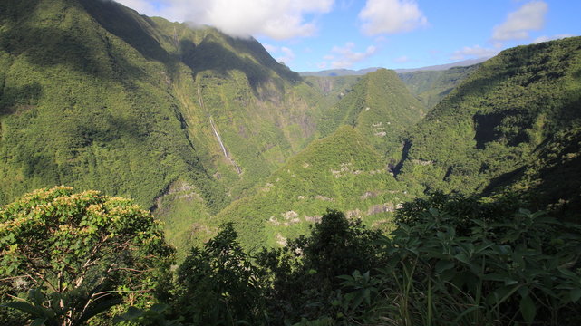 Tacamaca Images – Browse 1 Stock Photos, Vectors, and Video | Adobe Stock