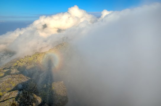 รูปภาพSpectre – เลือกดูภาพถ่ายสต็อก เวกเตอร์ และวิดีโอ109,599 | Adobe Stock