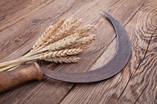 Sichel-Bilder: Stock-Fotos & -Videos. | Adobe Stock