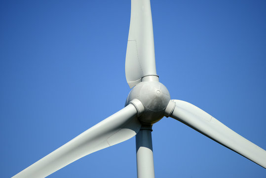 Biostrom bilder – Bläddra bland 1,135 stockfoton, vektorer och videor ...