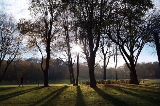 「Baumschatten」の画像 - 189 件の Stock 写真、ベクターおよびビデオ | Adobe Stock