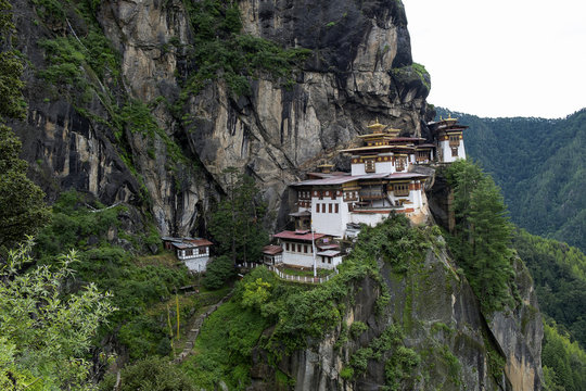 Senge Images – Browse 54 Stock Photos, Vectors, and Video | Adobe Stock