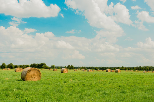 「Heurolle」の画像 - 192 件の Stock 写真、ベクターおよびビデオ | Adobe Stock