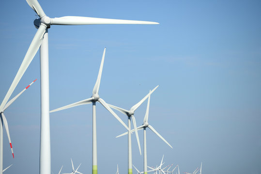 Biostrom bilder – Bläddra bland 1,154 stockfoton, vektorer och videor ...