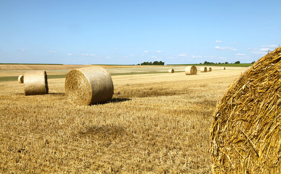 รูปภาพPaille – เลือกดูภาพถ่ายสต็อก เวกเตอร์ และวิดีโอ16,790 | Adobe Stock