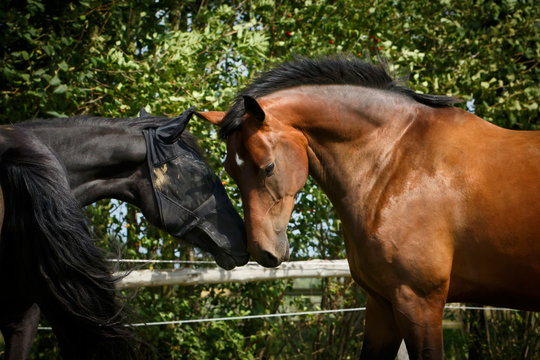 รูปภาพRossig – เลือกดูภาพถ่ายสต็อก เวกเตอร์ และวิดีโอ26 | Adobe Stock