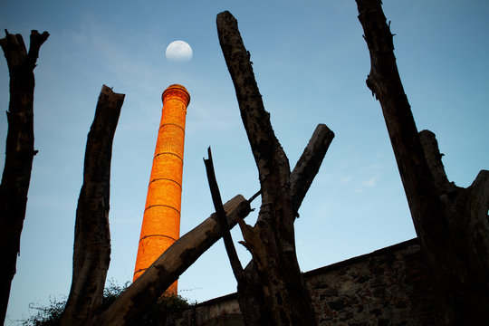 รูปภาพChacuaco – เลือกดูภาพถ่ายสต็อก เวกเตอร์ และวิดีโอ16 | Adobe Stock