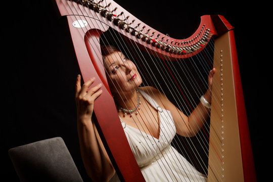 Autoharp Images – Browse 44 Stock Photos, Vectors, and Video | Adobe Stock