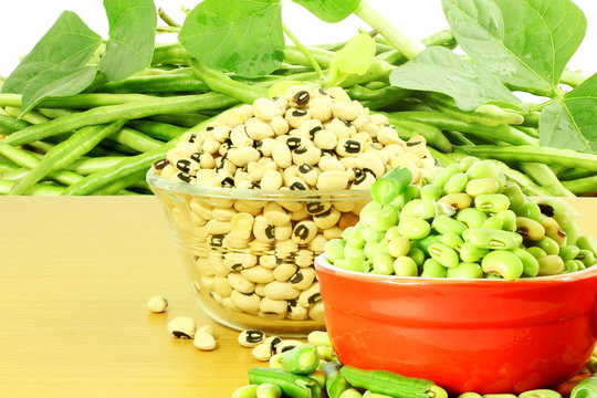 Rongi Images – Browse 39 Stock Photos, Vectors, and Video | Adobe Stock