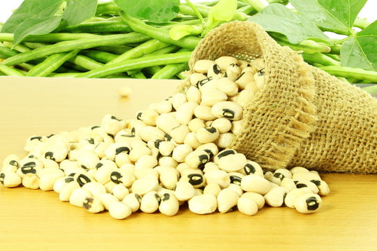 Rongi Images – Browse 35 Stock Photos, Vectors, and Video | Adobe Stock