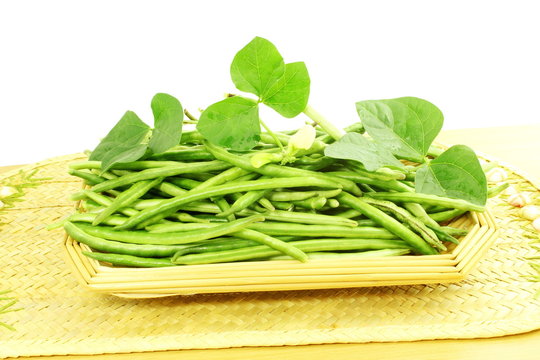 Rongi Images – Browse 39 Stock Photos, Vectors, and Video | Adobe Stock