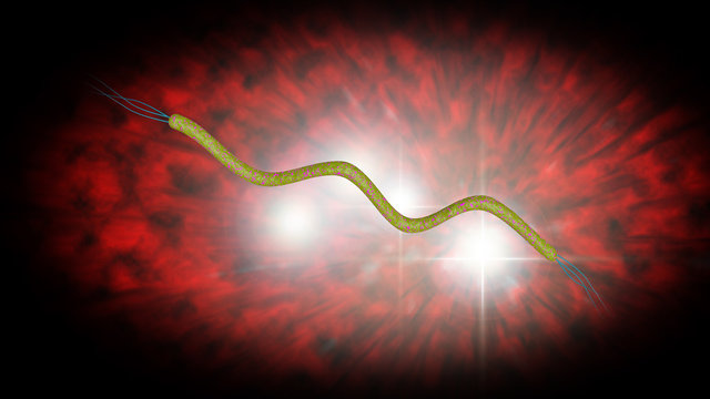 Amphitrichous Images – Browse 63 Stock Photos, Vectors, and Video ...